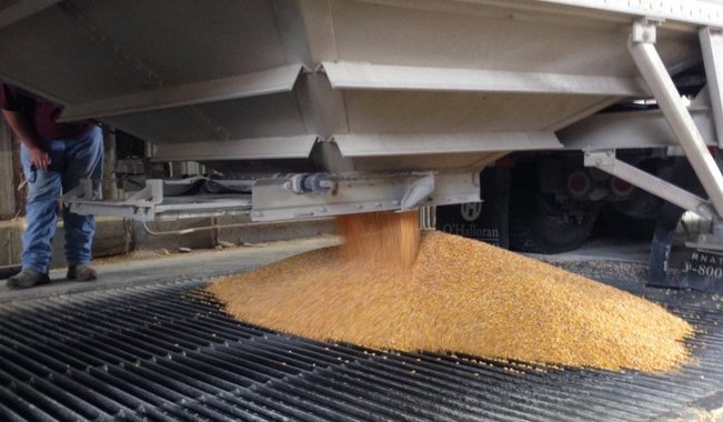 A hard look at corn economics — and world hunger – GEOGRAPHY EDUCATION