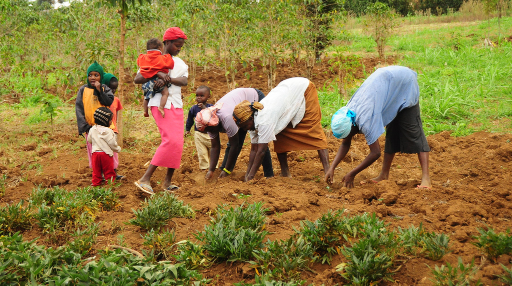 The Role of Rural Women in Agriculture – GEOGRAPHY EDUCATION