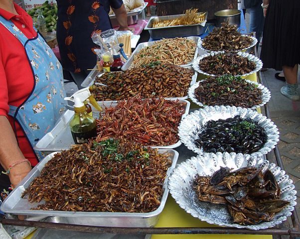 Entomophagy: Bugs in the system – GEOGRAPHY EDUCATION